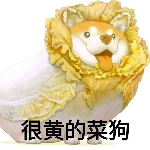坐轮椅的白菜狗 