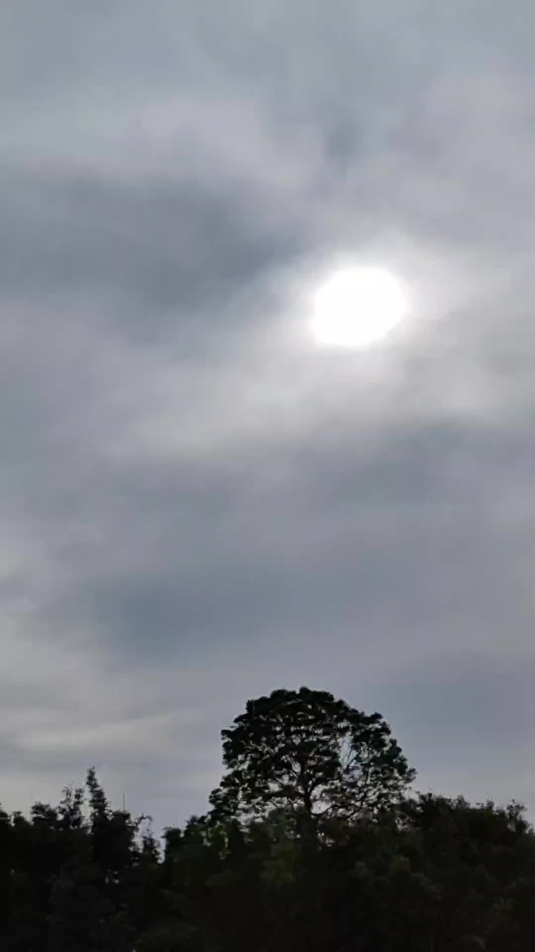 金黄稻田画画一般美,好美啊#飞机 ,#日常分享 #水稻种植 #粮食 #日常...