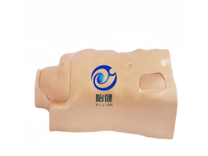 中心静脉穿刺注射躯干模型