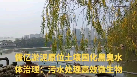 东莞黒臭河湖整治水质提升 企石镇河湖清淤黑臭水体治理淤污泥原位...