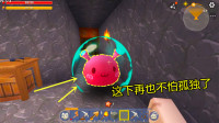 迷你世界：小蕾生存历险记 第1集 生存第一天就捉了一个团子，再也不怕孤独了