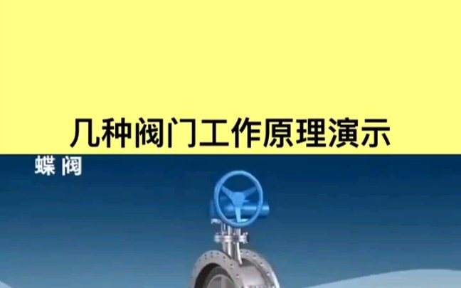 【视频】几种阀门工作原理演示