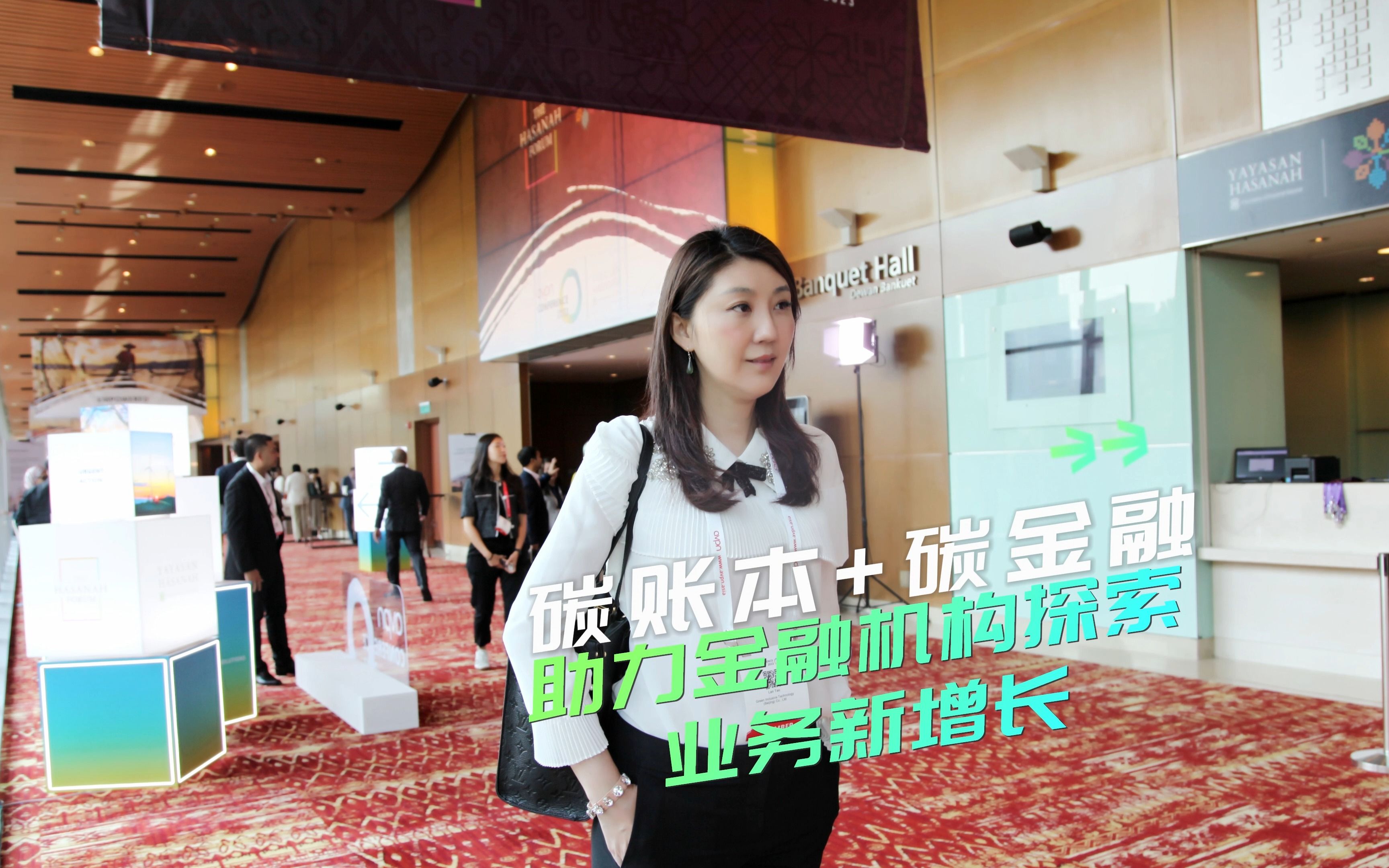 绿普惠创始人陶岚:碳账本+碳金融,助力金融机构探索业务新增长