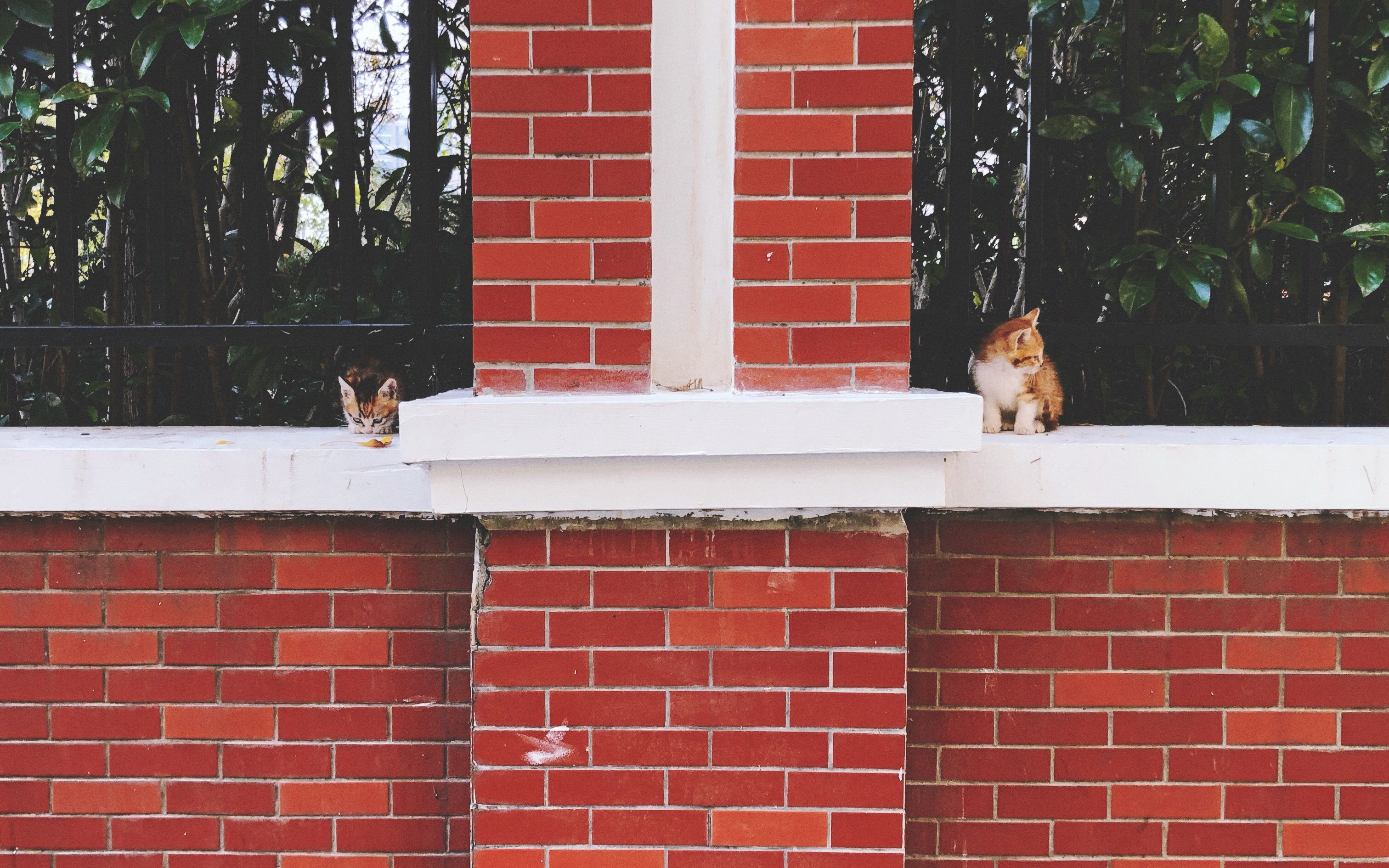 【走进研究所】001一元二次方程的实根分布