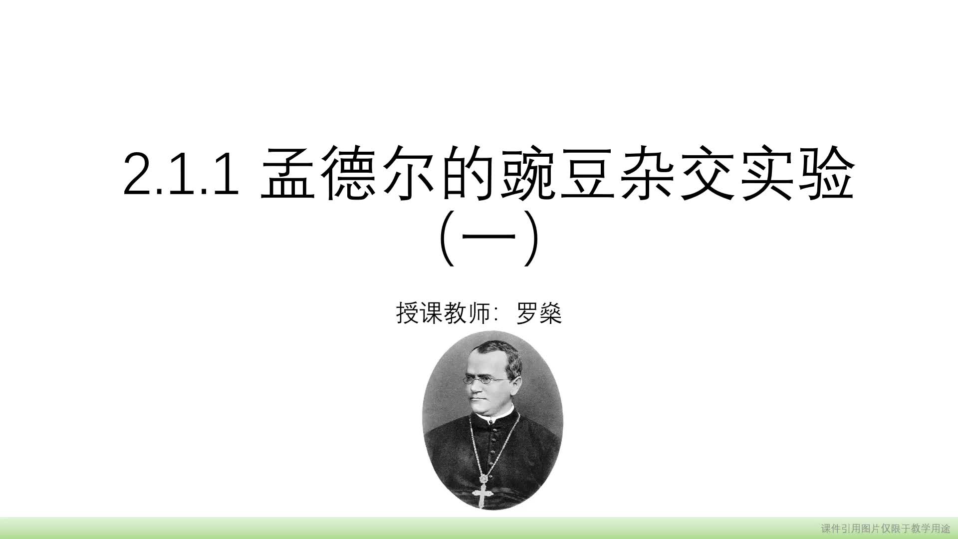 孟德尔遗传定律