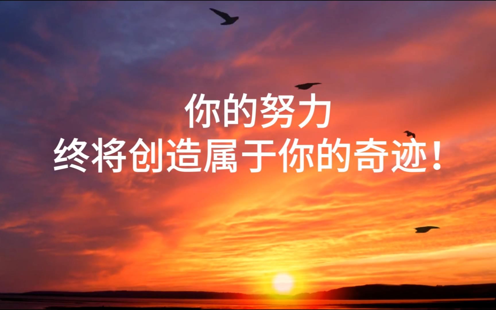 你的努力,终将创造属于你的奇迹(励志演讲高燃混剪)