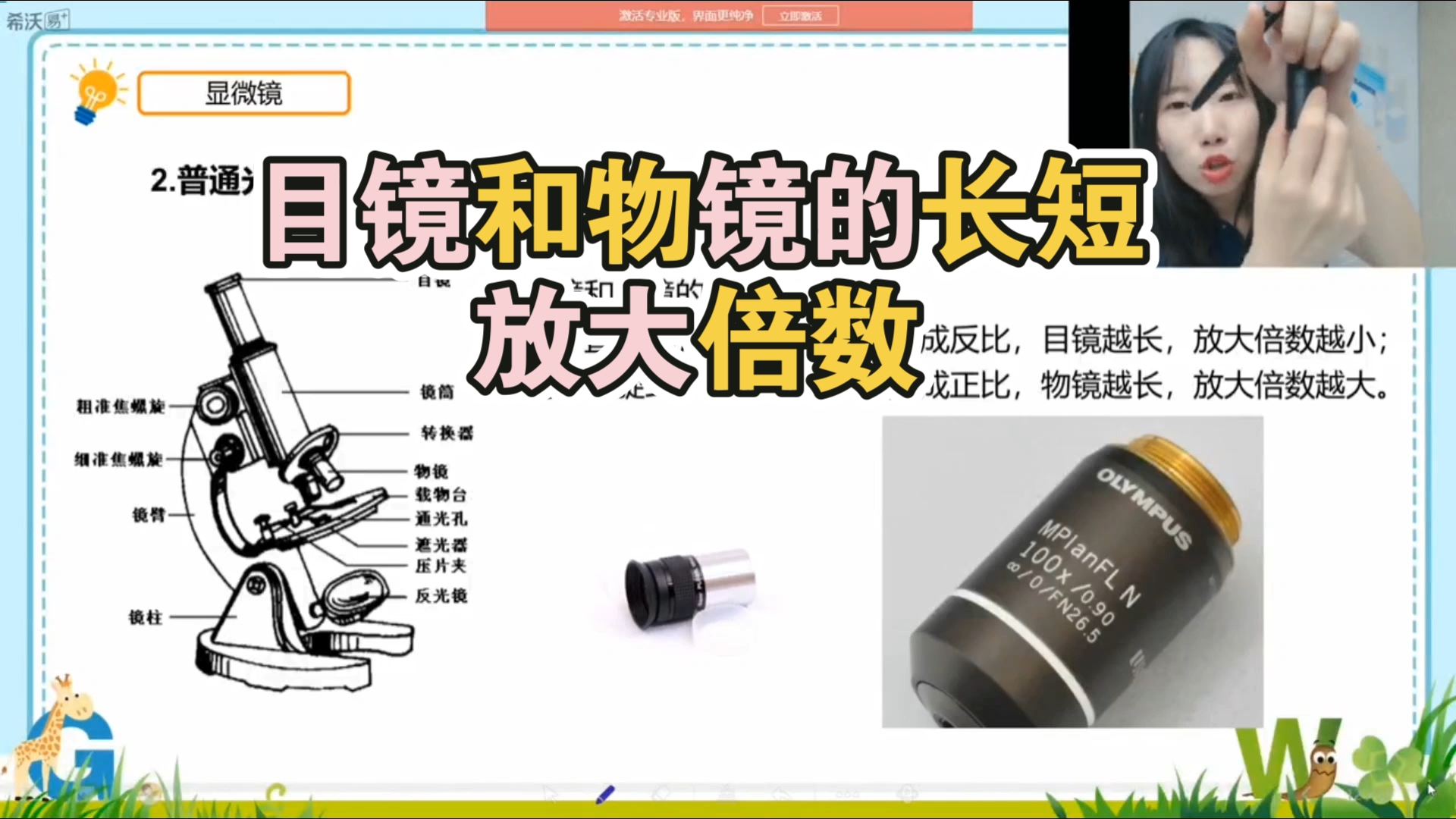 〖显微镜的使用〗目镜和物镜的放大倍数