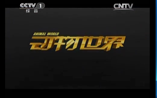 中国网络电视台-《动物世界》 20141228 大自然的游戏(上)