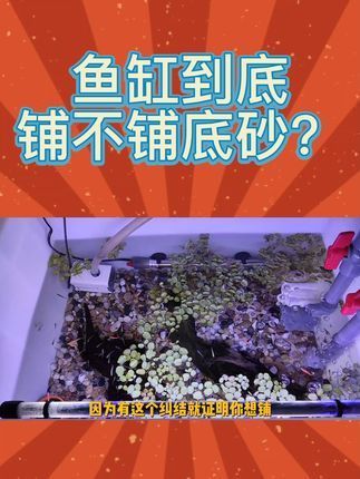 基本没有任何硝化细菌生存的场所了