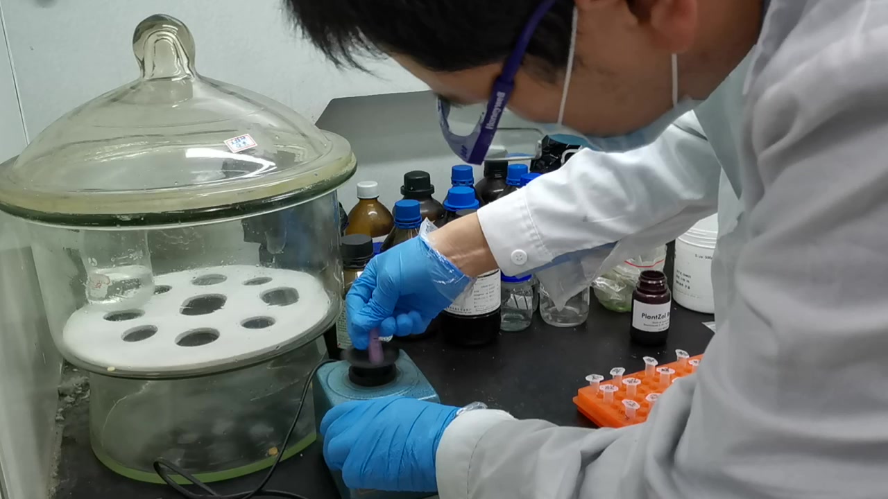 试剂盒提取RNA-实操-③开冷冻离心管