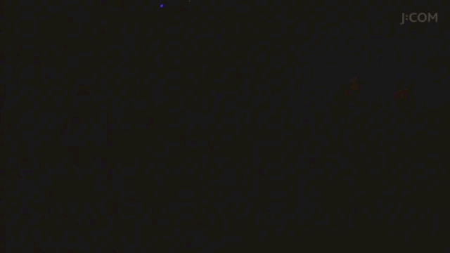 日本国宝乐队BEGIN现场演唱《泪光闪闪》你听过这首歌吗