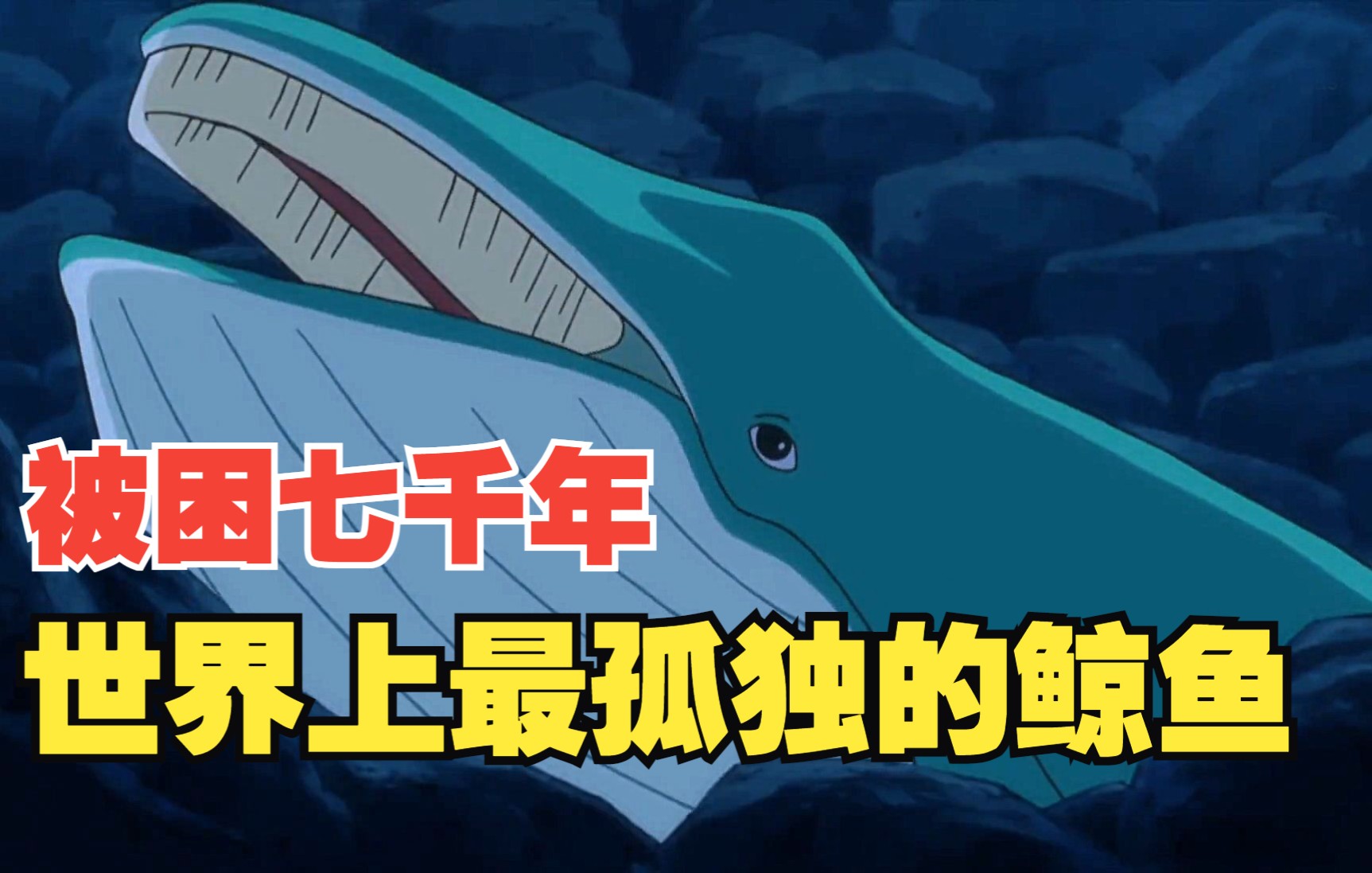 世界上最孤独鲸鱼,被困七千年且永远无法与同类交流。哆啦A梦《鲸鱼...
