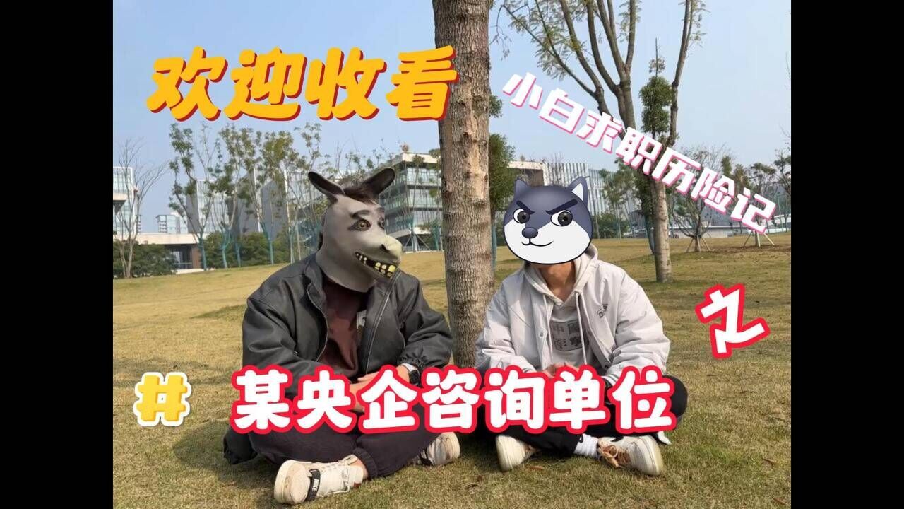 小白求职历险记之某央企咨询单位