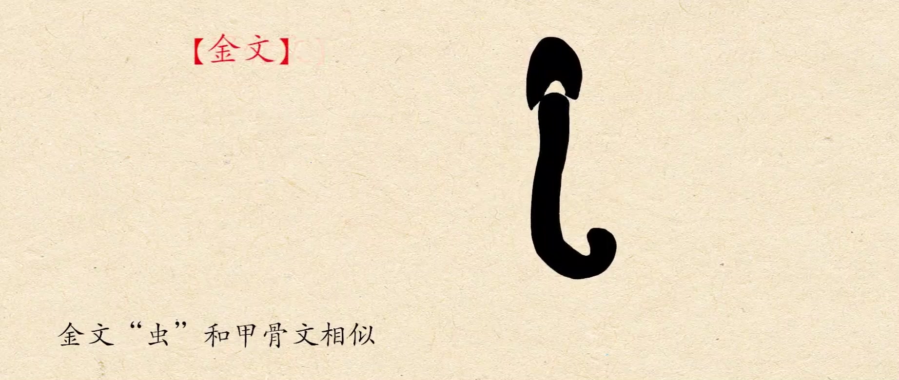 ‘虫’字的演变过程,从甲骨文到楷书的演化过程,你想知道么?
