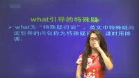 5.what引导的特殊疑问句