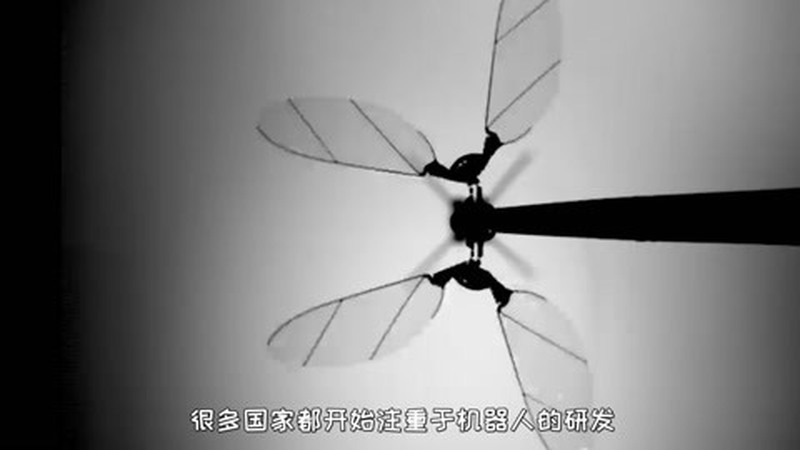 全球首个切断电源飞行的机器人,体型像苍蝇,意义却很重大!