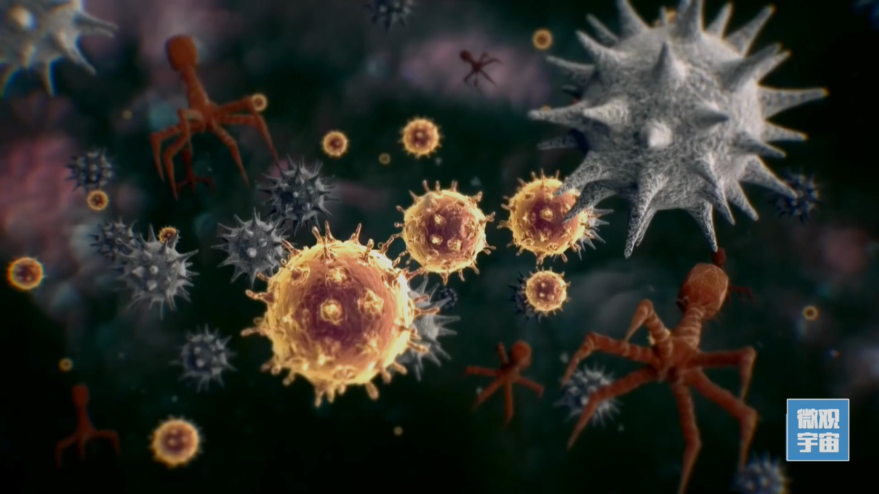 人类身体几乎有一半不属于自身,病毒和细菌与人类相爱相杀!