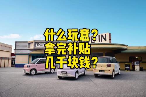 他们说吉利的小电车拿满补贴几千块钱我好奇一查哎呀妈呀
