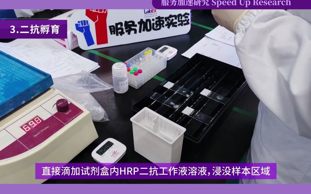 多重荧光免疫组化(mIHC)实验操作演示