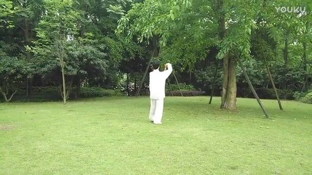 中华通络操背面演练,适合公园健身的健康养生运动