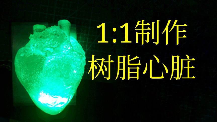 用猪心翻模制作一个真实大小的环氧树脂心脏(滴胶)