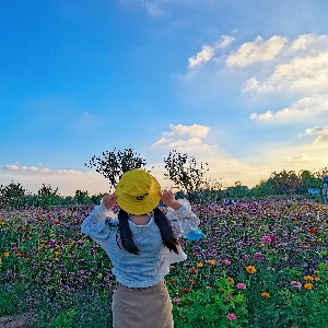 解忧毛线店 