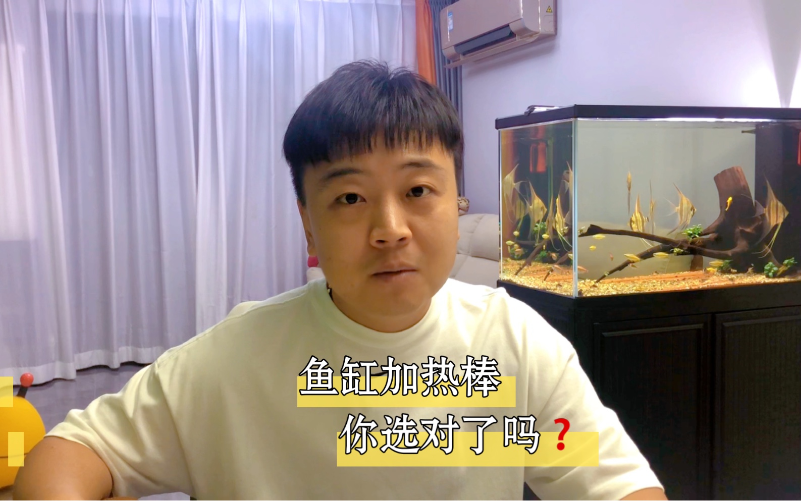 新手养鱼|鱼缸加热棒怎么选?