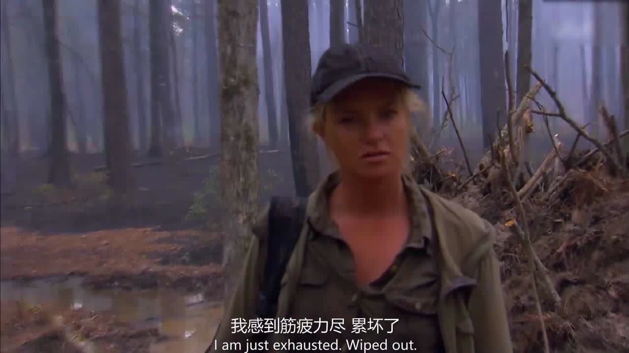 森林大火太可怕,大树全被烧断,小动物被砸死!