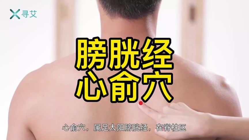 心俞穴在哪里#穴位#穴位的准确位置#找穴位