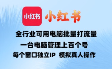 【小红书比特rpa全自动养号矩阵机保姆级别教程】 独立ip 一人控制...