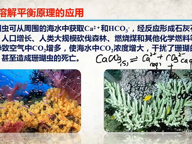 3.7沉淀溶解平衡的应用