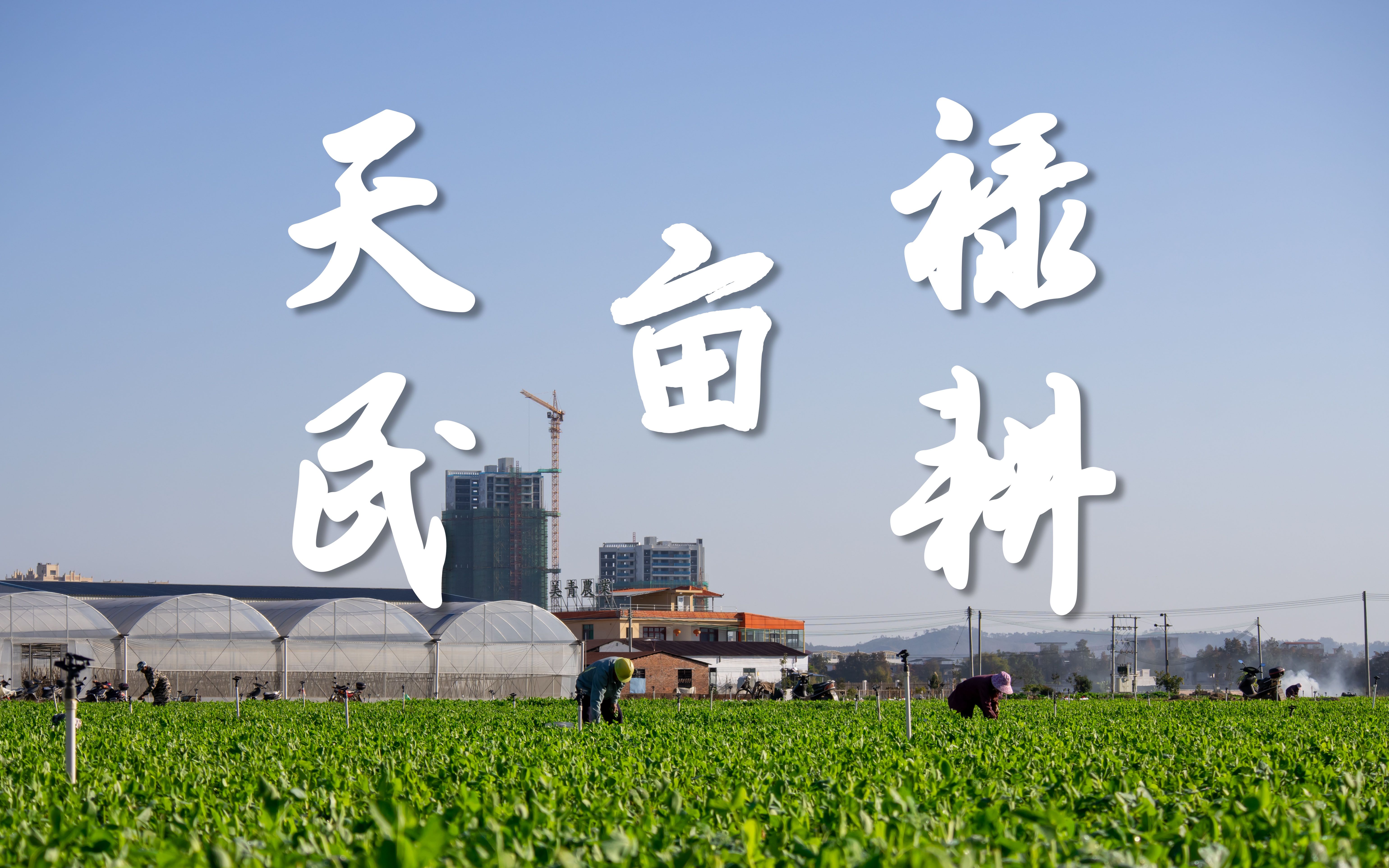 纪录片《天·禄·亩·民·耕》