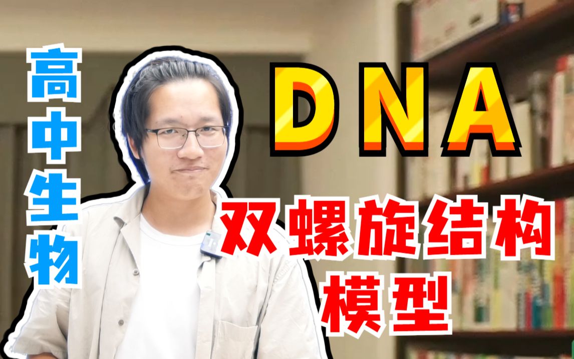 德叔生物模型(1):六个层次剖析DNA双螺旋结构模型