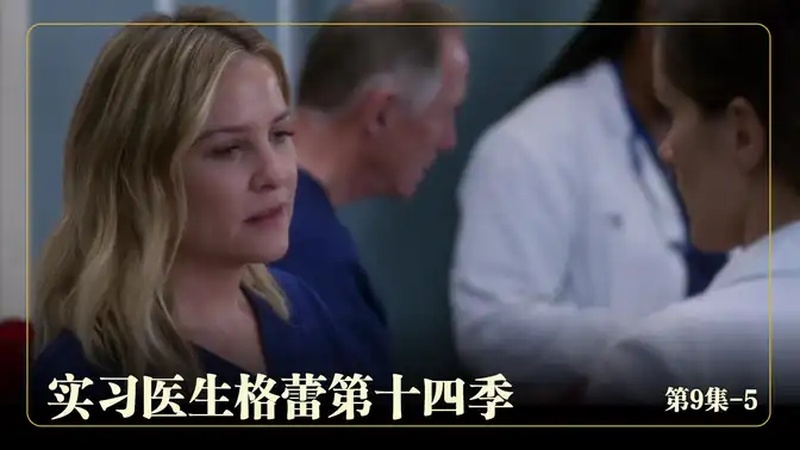 实习医生格蕾第十四季:Wilson医生情归何处?(102)