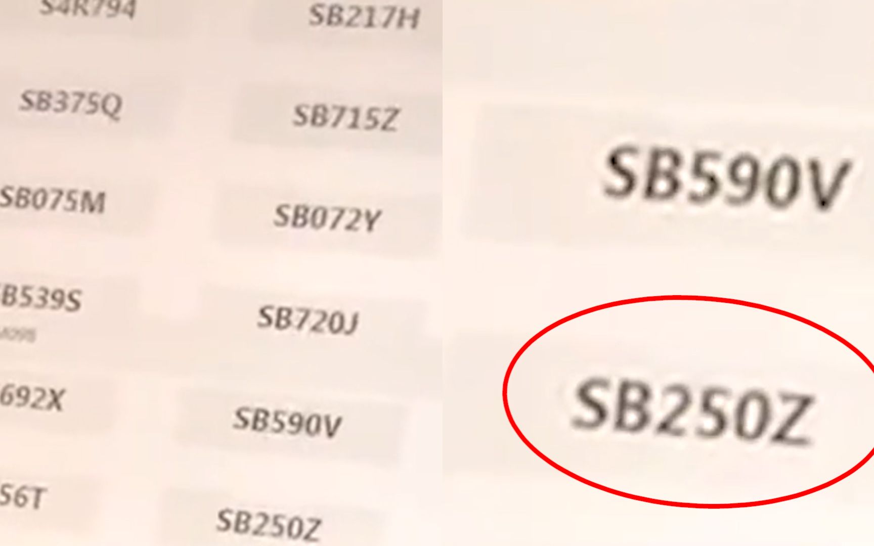 男子去车管所选牌号当场懵逼,车牌全以SB开头,最终选择让人笑喷