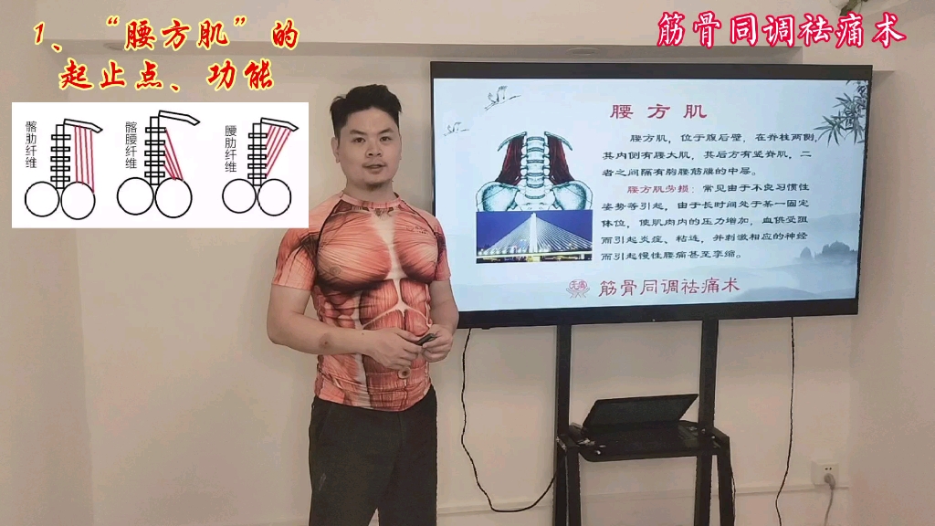 1、腰方肌的起止点、功能