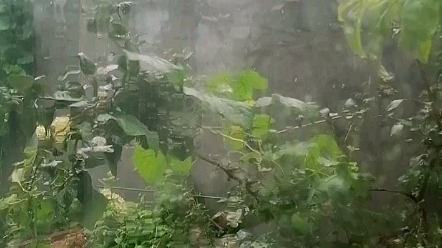 请教一下,有一个“山东市场监管电子签名”APP,在营业执照企业签名...