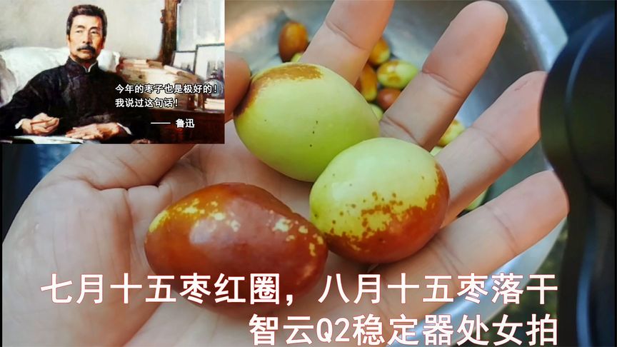 鲁迅大爷说过:今年的枣子也是极好的!智云Q2稳定器处女作
