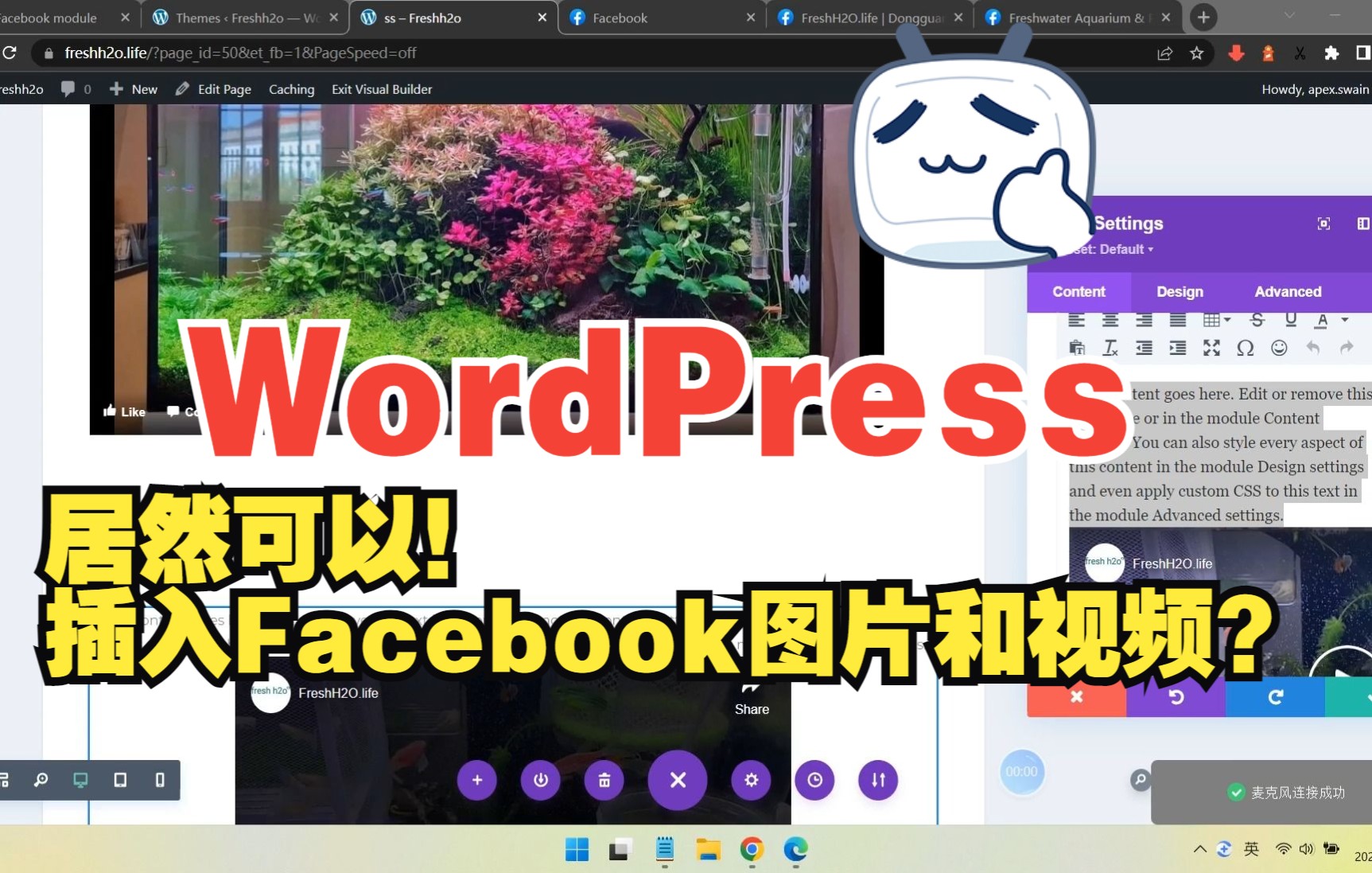 WordPress站点如何嵌入Facebook的图片和视频 - 网站和社媒的双赢...