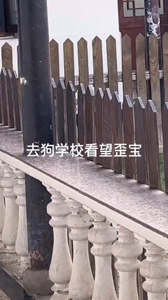 【歪宝】家长探监实录(X