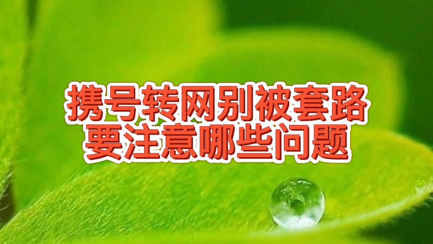 移动联通电信携号转网你操作过吗?不要被套路了,要注意这些问题