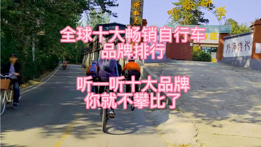 全球十大畅销自行车品牌排行,听听十大品牌你就不攀比了
