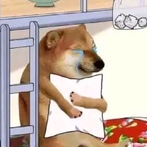 二蛋的快乐- 