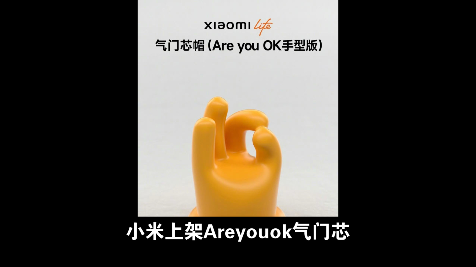 are you ok气门芯