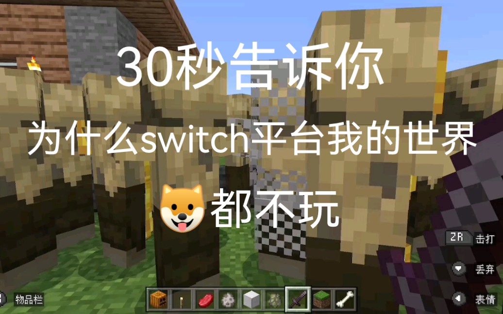 为什么不要买ns平台的我的世界