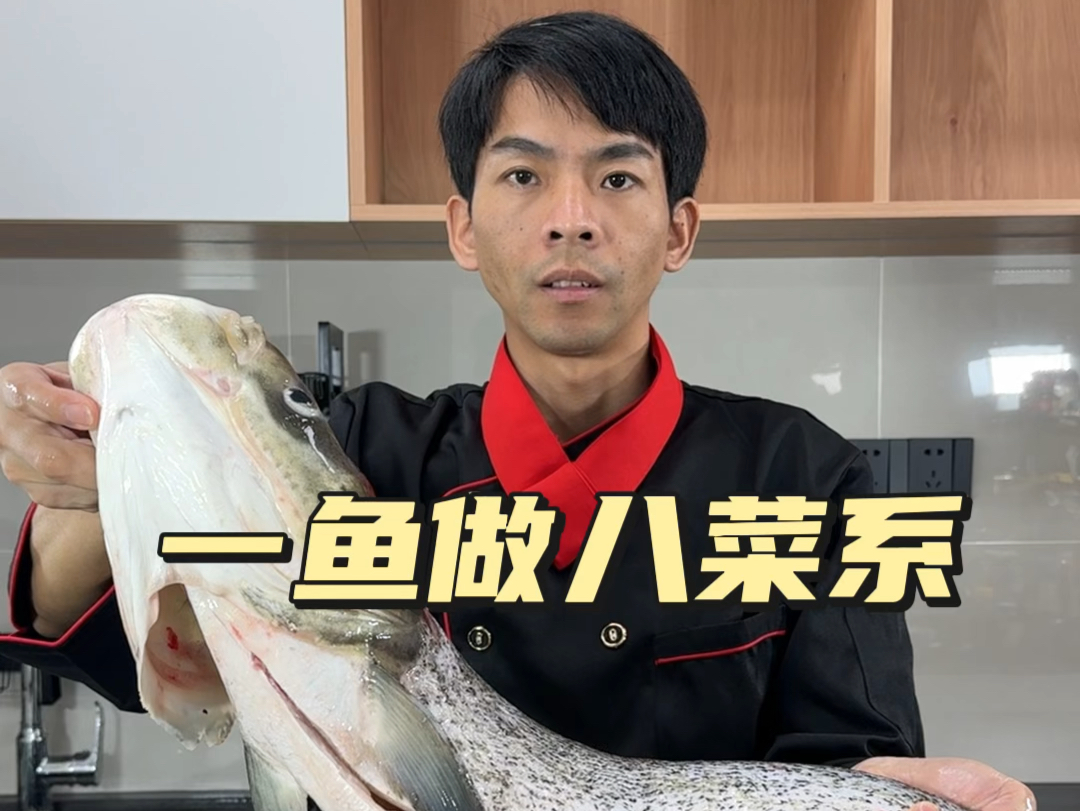 今日食谱:闽味鱼头豆腐汤,粤味砂锅鱼腩,川味辣子鱼块,鲁味糖醋鱼,...