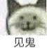 不缺木土的人 