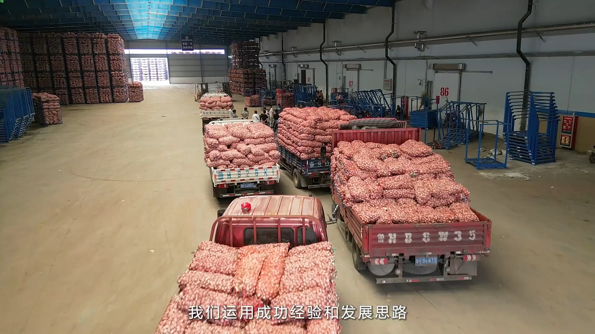 农业,农副产品,大蒜产业,企业宣传片