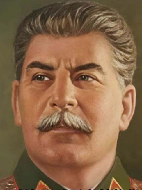 德军猛攻斯大林格勒,斯大林急电毛主席:你们赶紧派两个师来边境