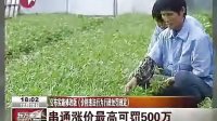 价格违法行为行政处罚规定